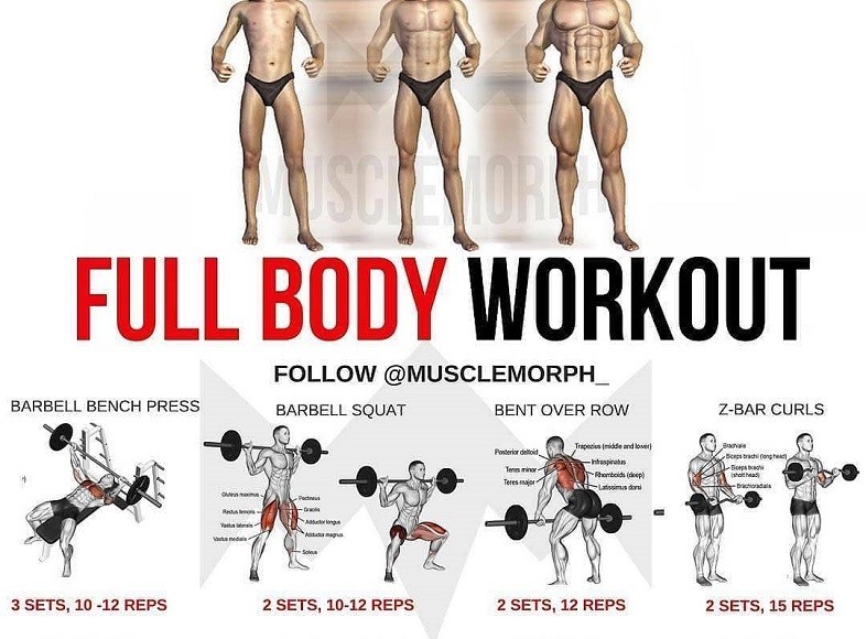 PHUL Vs Full Body Workout Which Is Better 